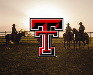 TEXAS TECH VETERINARY SCHOOL SOCIAL MEDIA – Kelly Podzemny